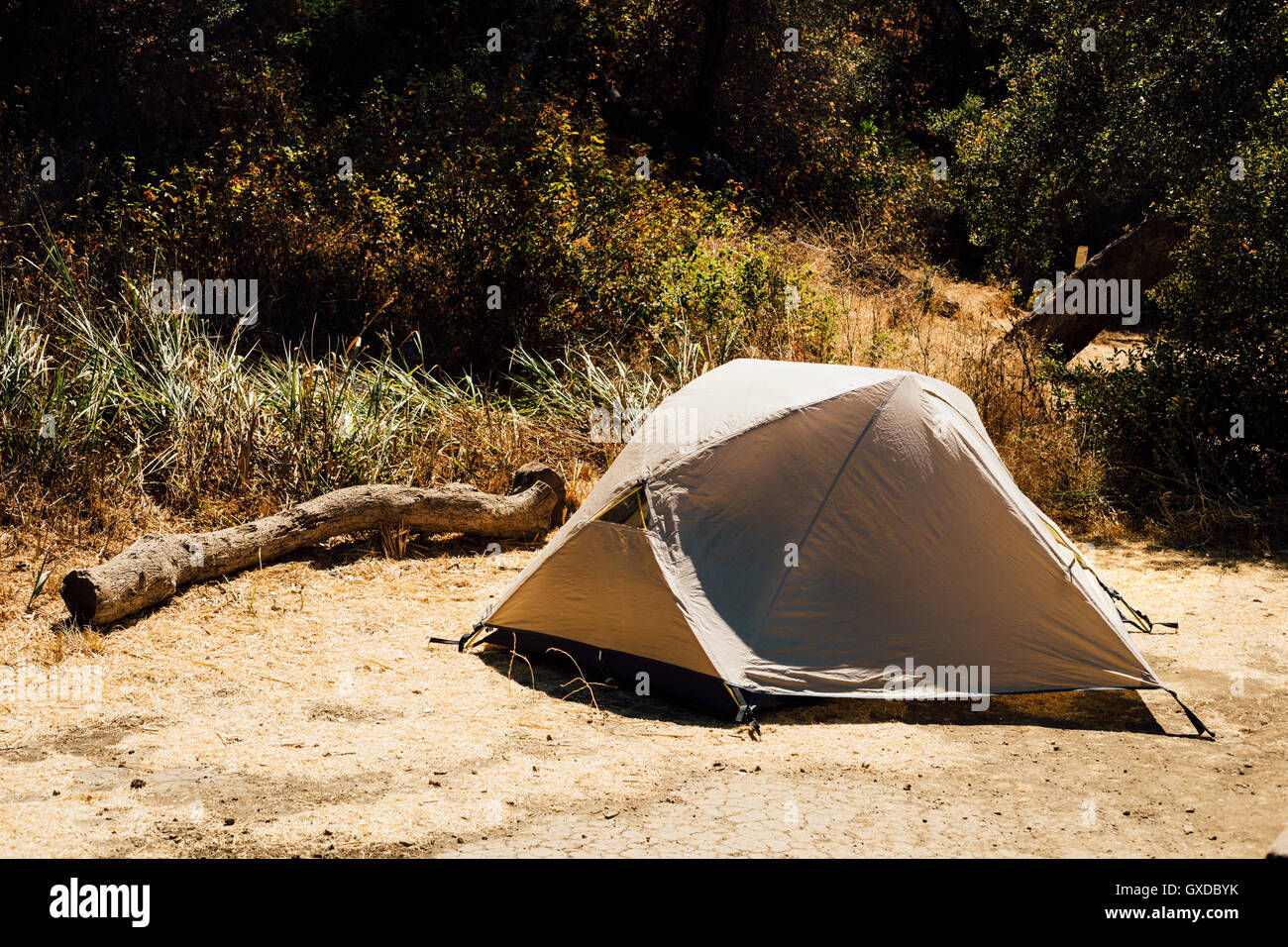 Tent pitched by fallen tree, Malibu Canyon, California, USA Stock Photo ...