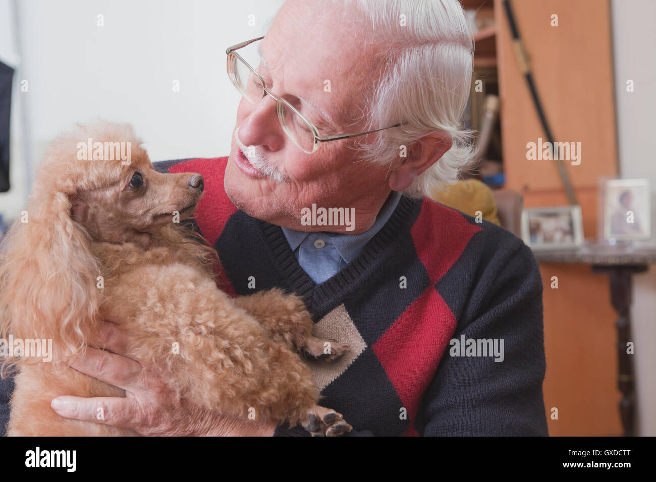 Man carrying his dog hi-res stock photography and images - Alamy