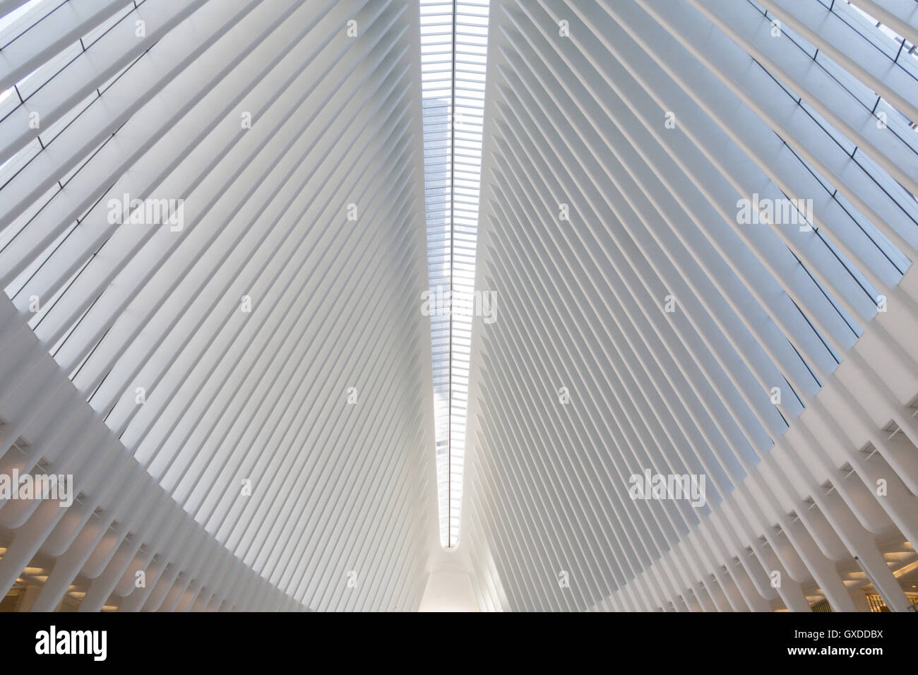 The Oculus Inside the World Trade Center Transportation Hub, Lower ...