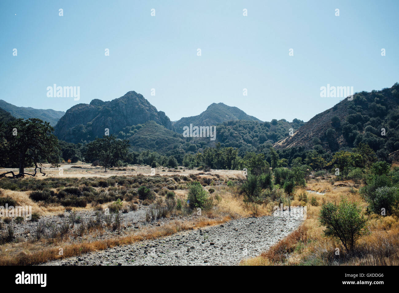 Tree covered mountains, Malibu, California, USA Stock Photo - Alamy