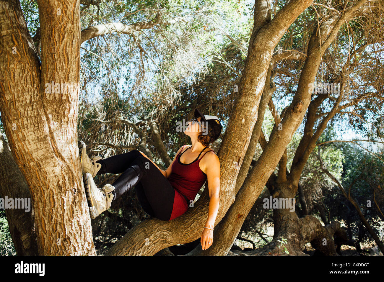 Woman sitting in tree looking up Stock Photo - Alamy