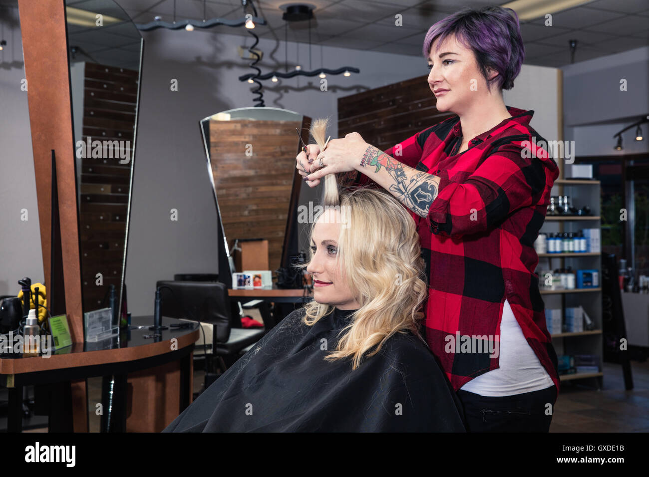 Stylist attending to customer in hair salon Stock Photo - Alamy