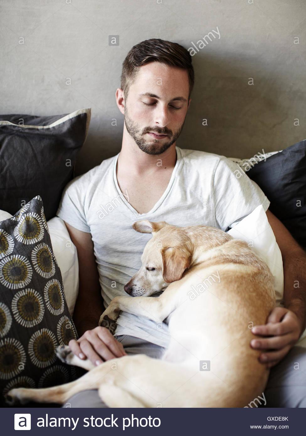 Lap Dog Man High Resolution Stock Photography and Images - Alamy