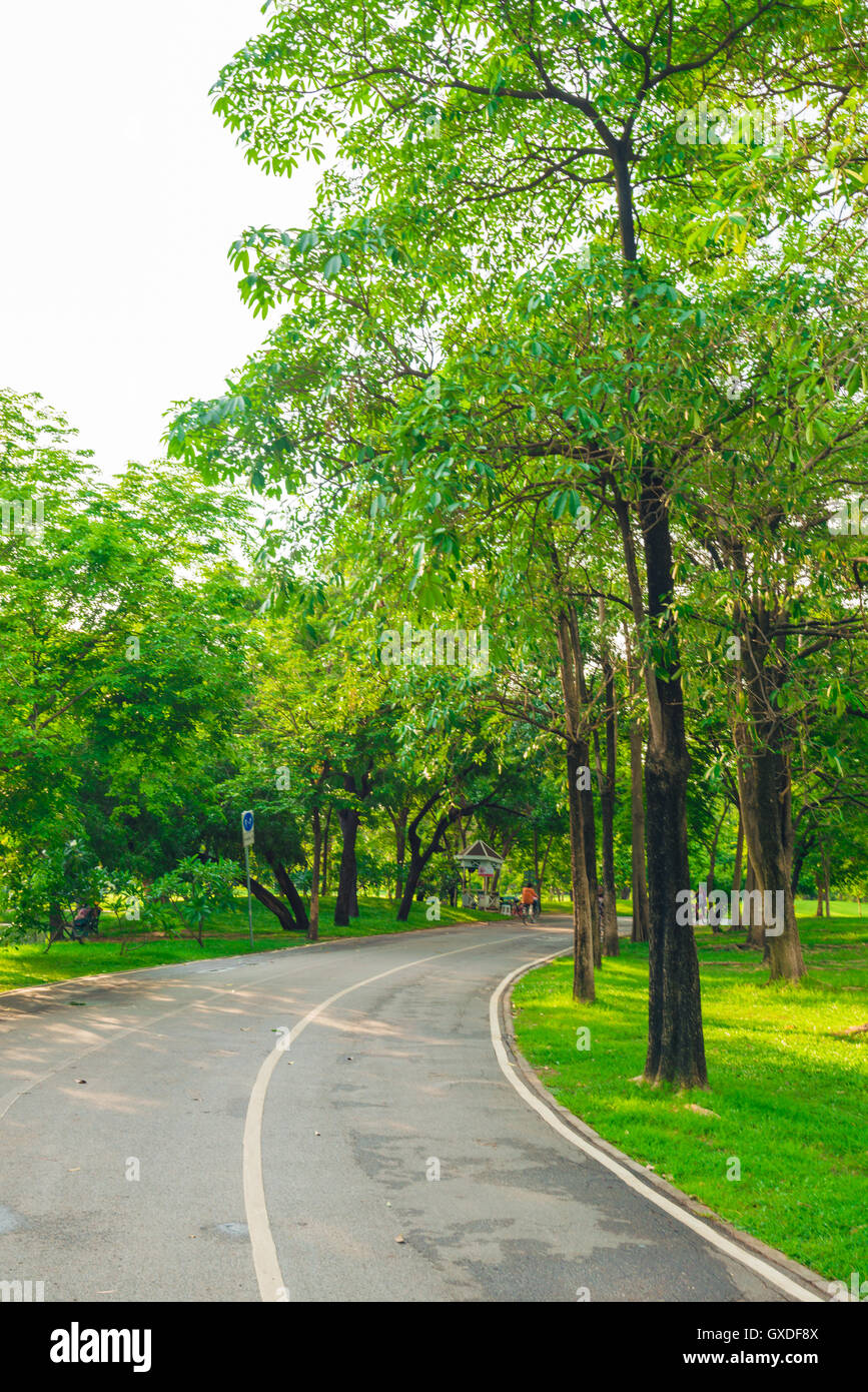 Green lawn in city park and pathway, Beautiful park Stock Photo - Alamy