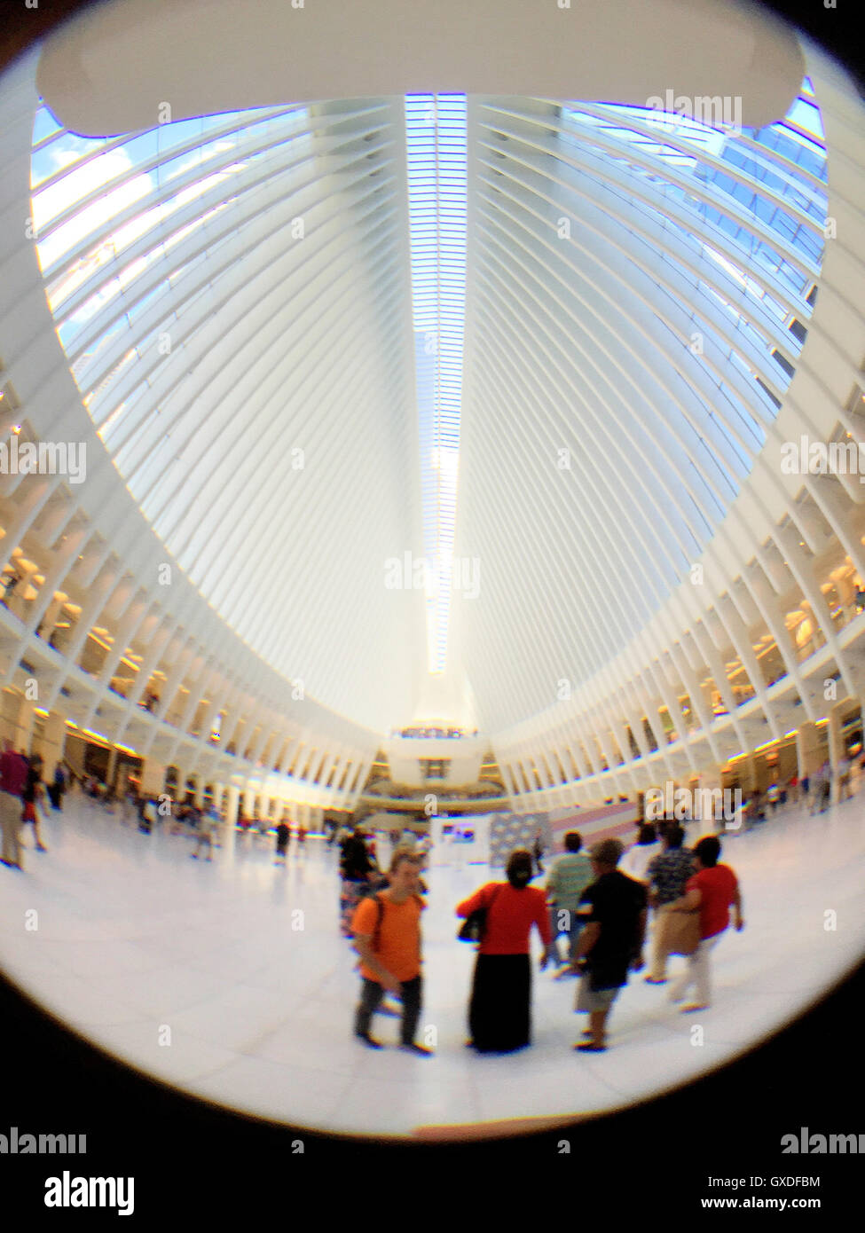The Oculus Inside the World Trade Center Transportation Hub, Lower ...