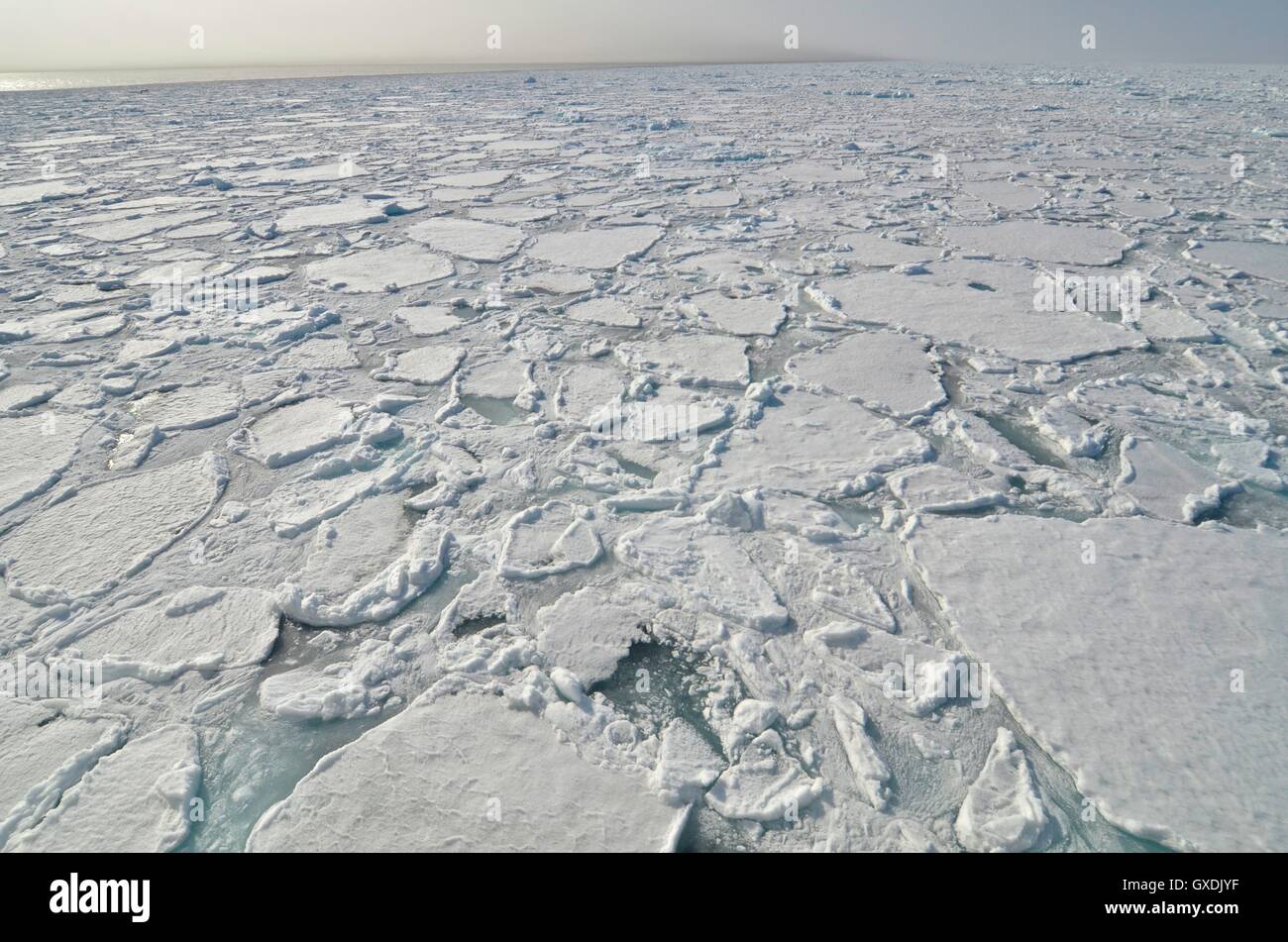 Ice edge at 82,11 degrees North. Svalbard Archipelago, Arctic Norway ...