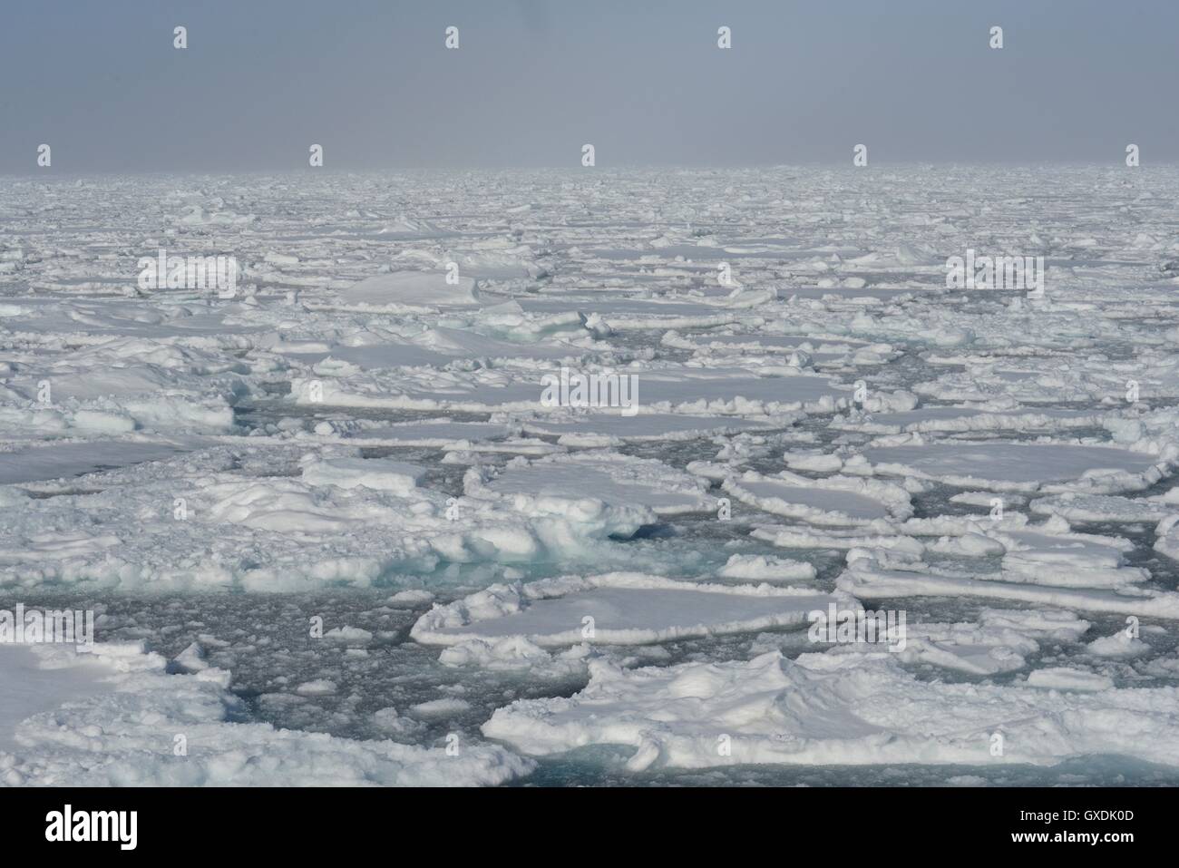Ice edge at 82,11 degrees North. Svalbard Archipelago, Arctic Norway ...