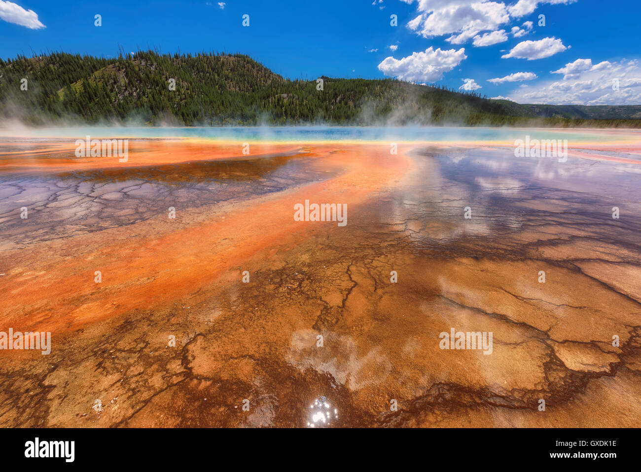 Grand Prismatic Spring in Yellowstone National Park Stock Photo - Alamy