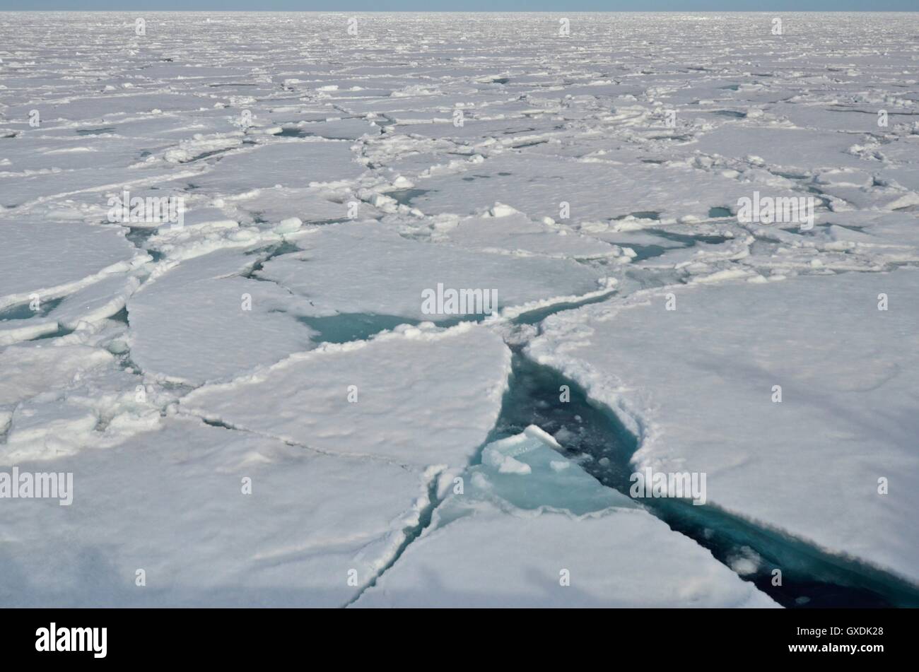 Ice edge at 82,11 degrees North. Svalbard Archipelago, Arctic Norway ...