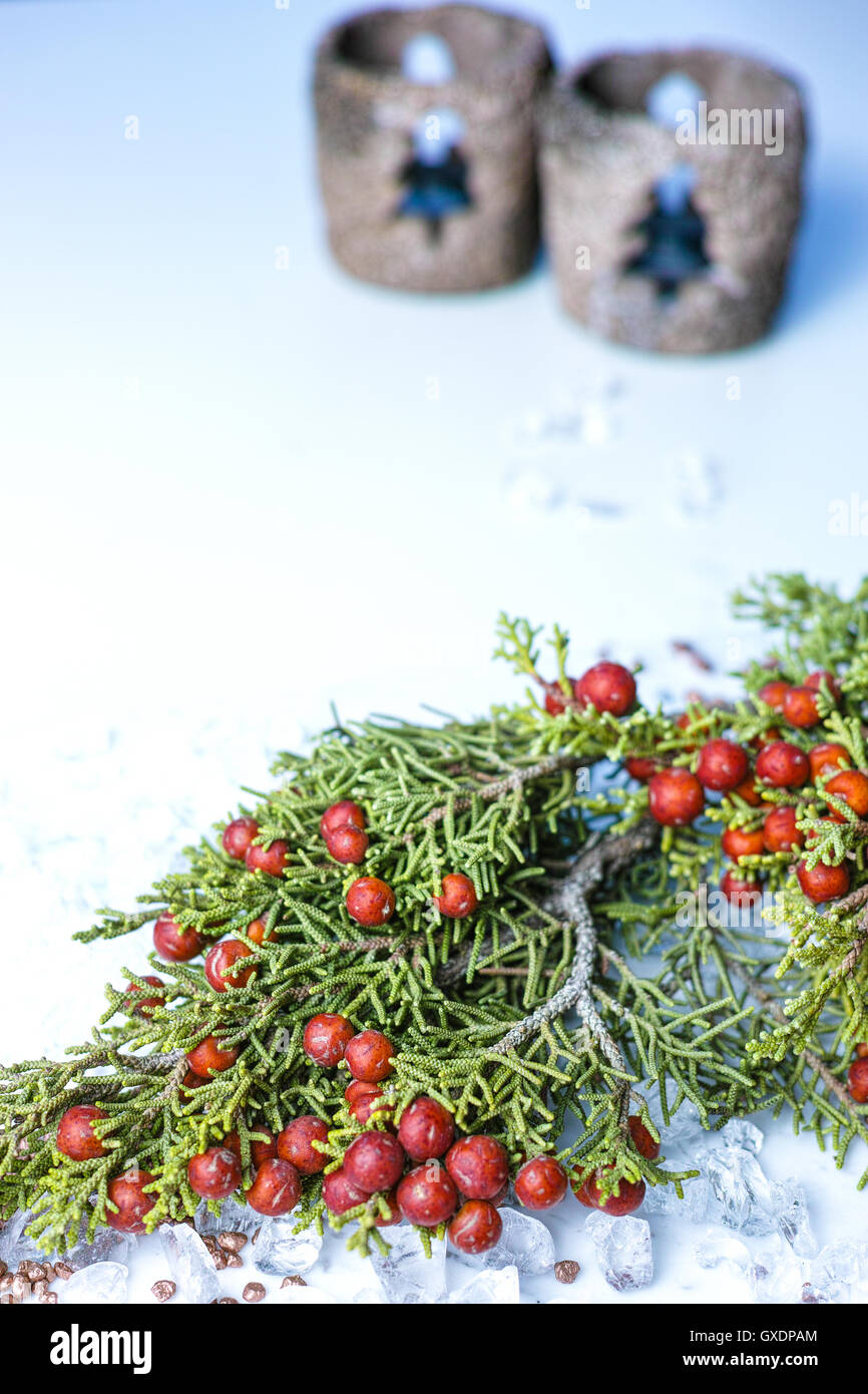 Juniper berries frame hi-res stock photography and images - Alamy