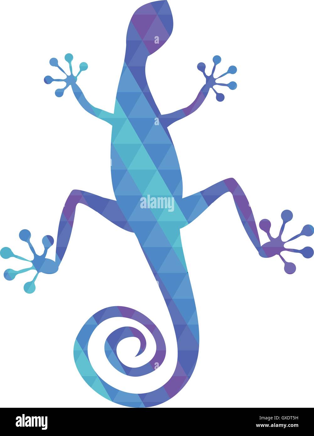 Blue and purple lizard hi-res stock photography and images - Alamy