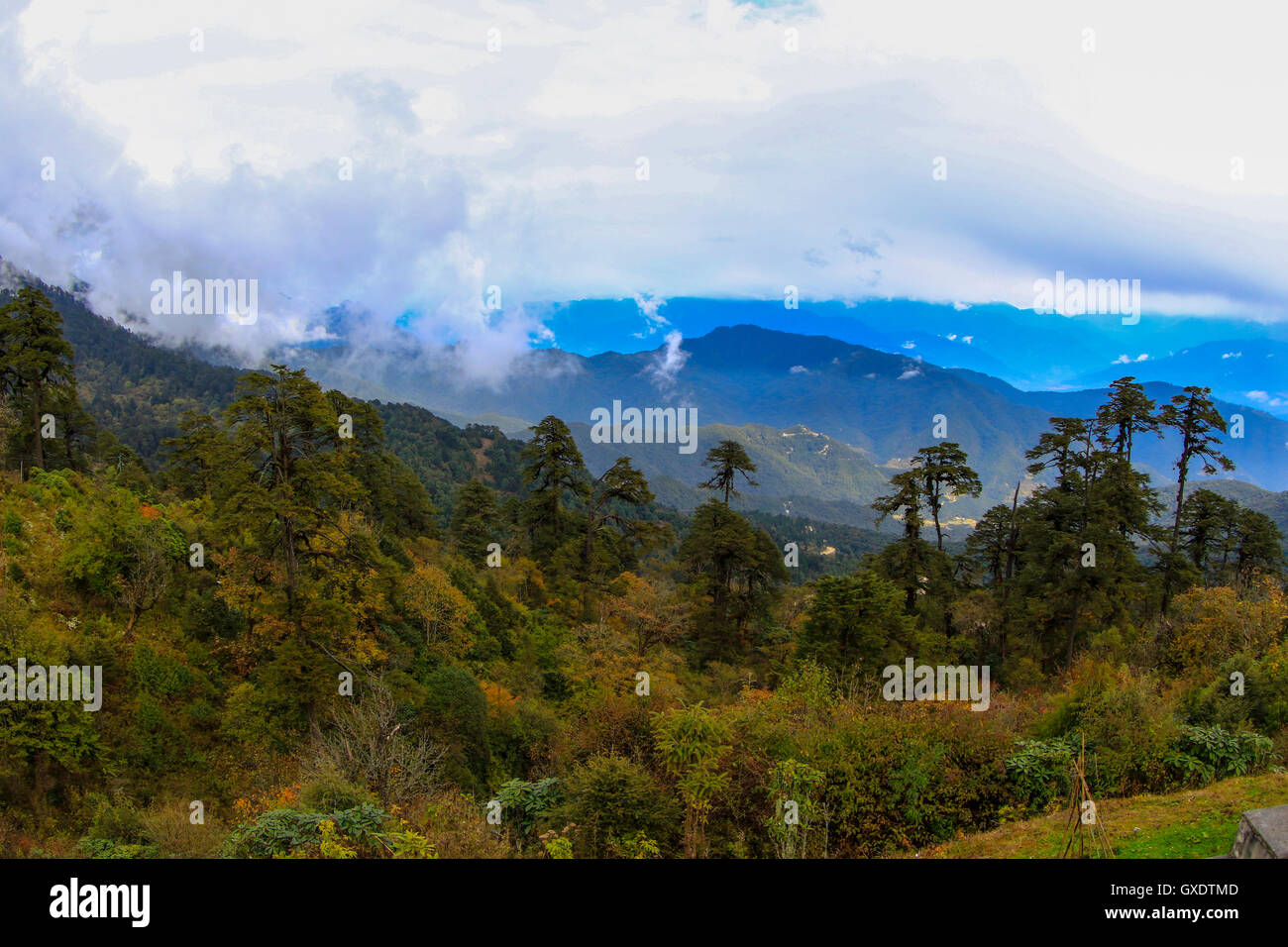Mountain view from the Dochula Pass, Bhutan Stock Photo - Alamy