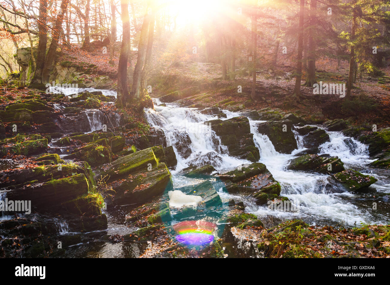 waterfall in misty autumn forest Stock Photo - Alamy