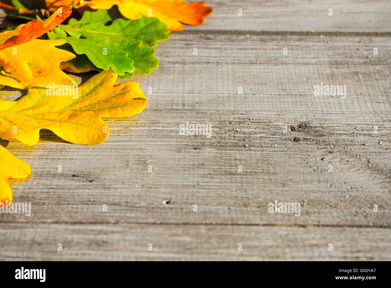 Autumn leaves on a table Stock Photo - Alamy