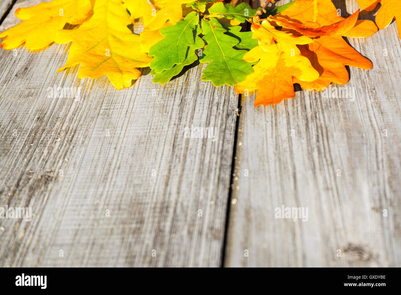 Autumn leaves on a table Stock Photo - Alamy