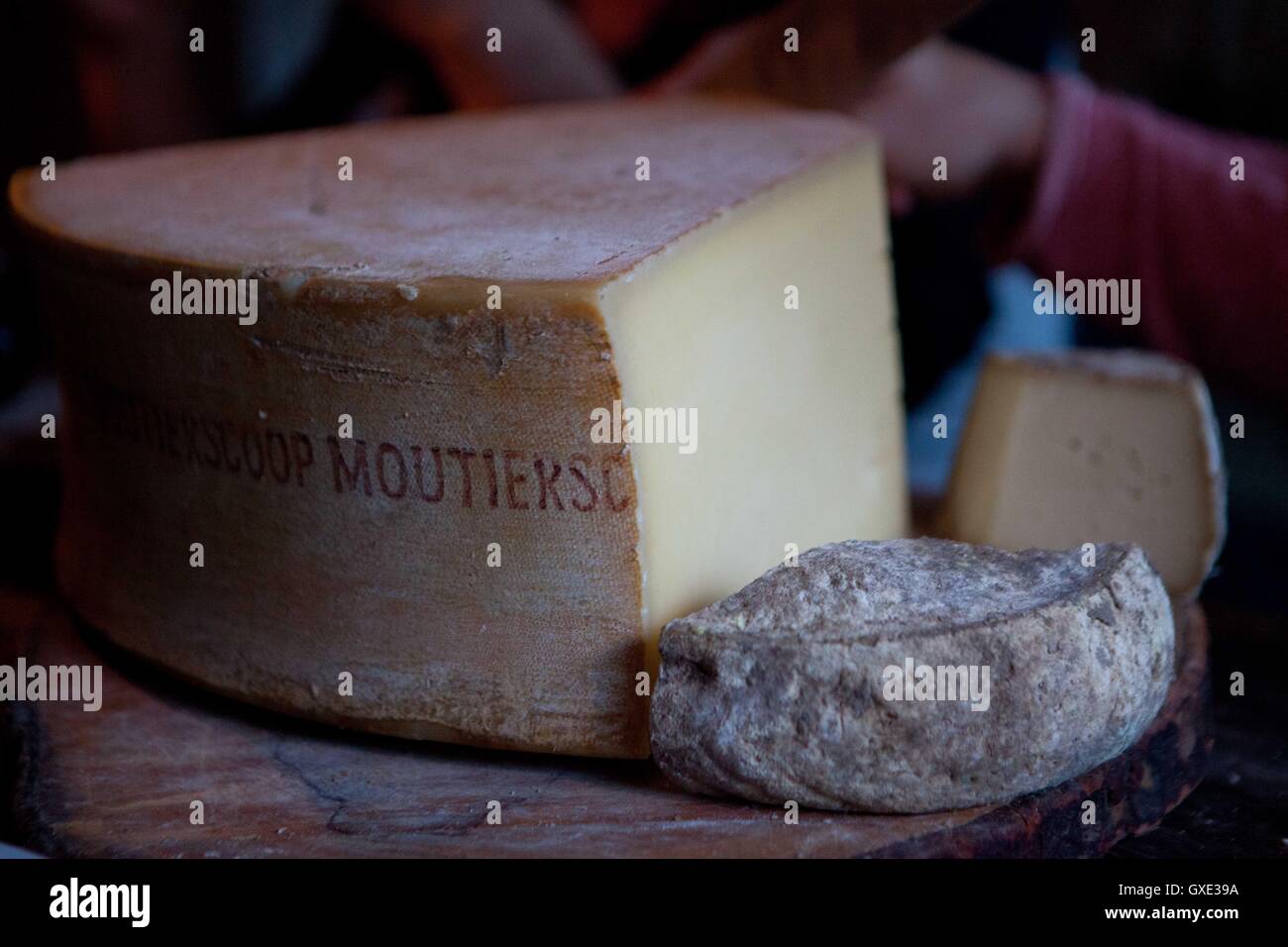 French Alps, summer, mountains, hiking, nature, forest, climate change ...