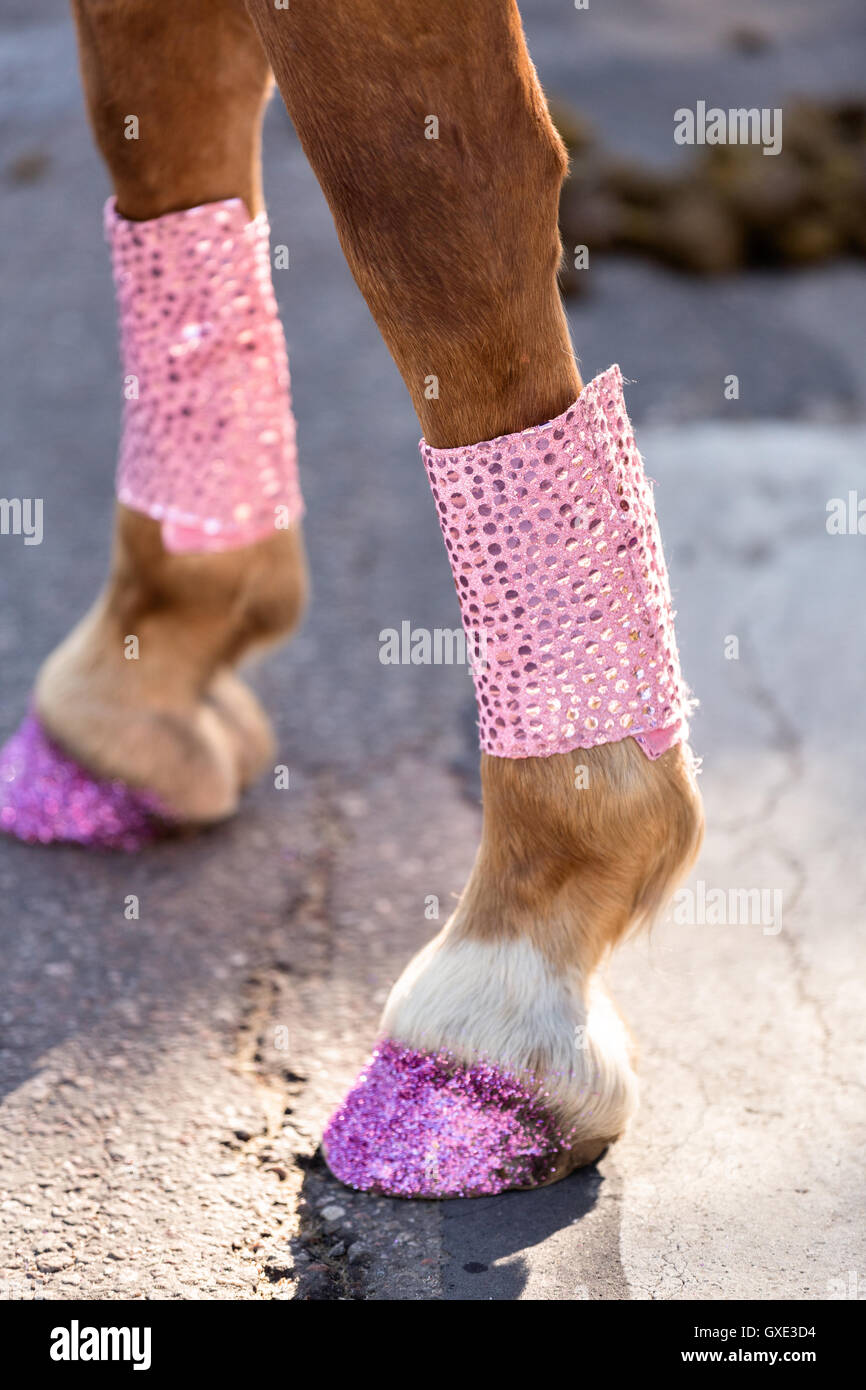 Horse hoofs decorated pink glitter hi-res stock photography and images ...
