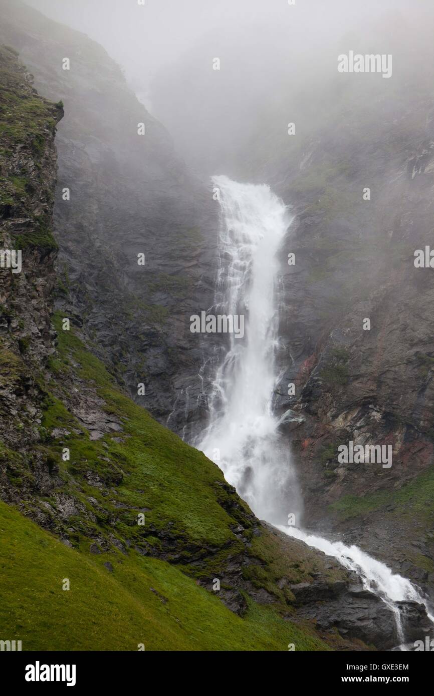 French Alps, summer, mountains, hiking, nature, forest, climate change ...