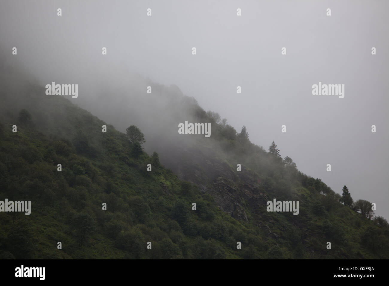French Alps, summer, mountains, hiking, nature, forest, climate change ...