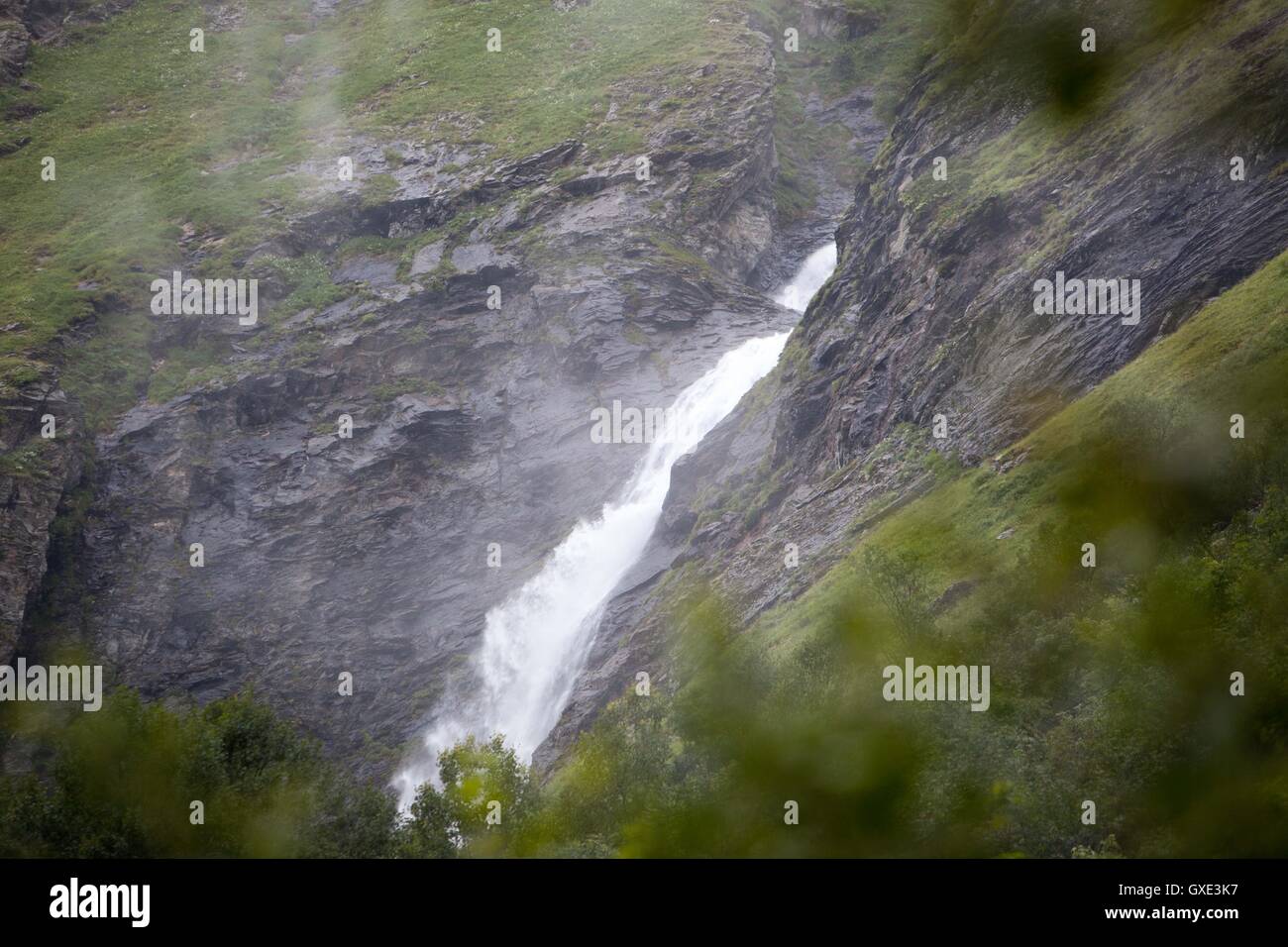French Alps, summer, mountains, hiking, nature, forest, climate change ...
