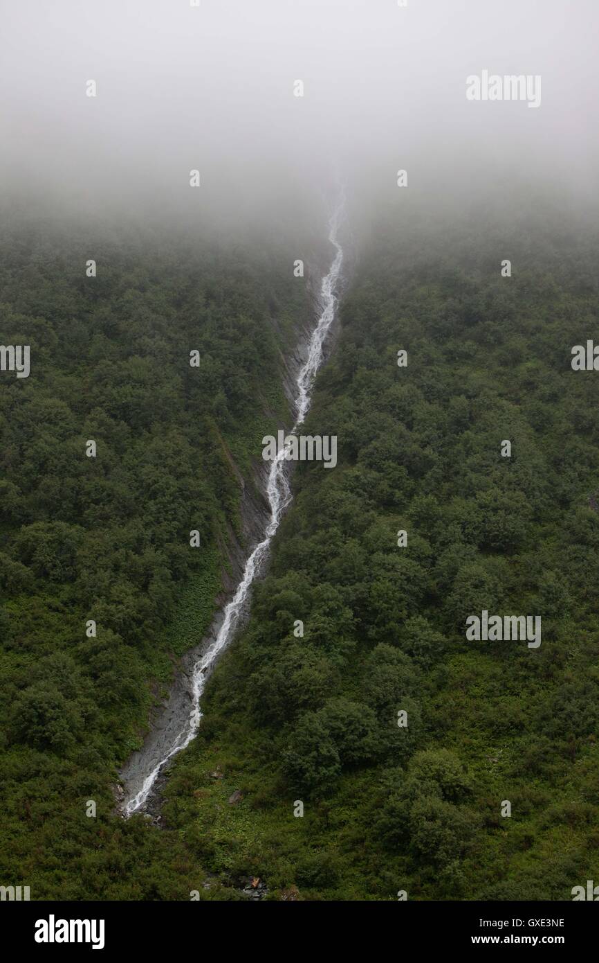 French Alps, summer, mountains, hiking, nature, forest, climate change ...