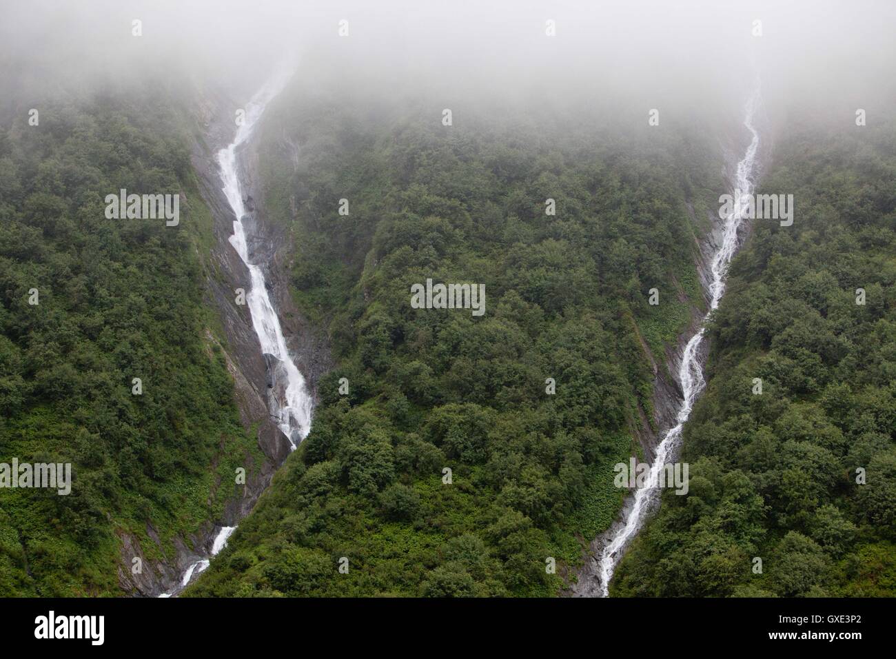 French Alps, summer, mountains, hiking, nature, forest, climate change ...