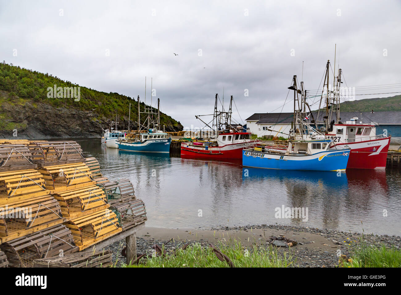 The harbor, fishing boats and colorful fishing stages in Trout River ...