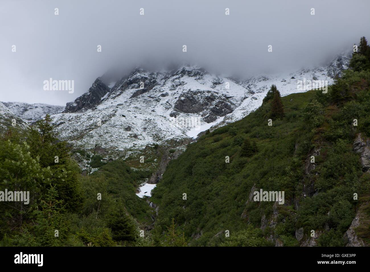 French Alps, summer, mountains, hiking, nature, forest, climate change ...