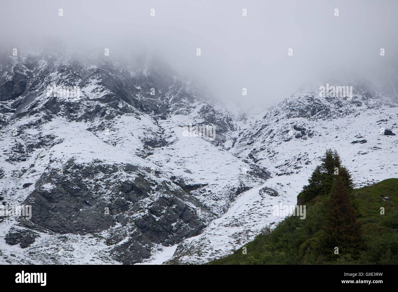 French Alps, summer, mountains, hiking, nature, forest, climate change ...