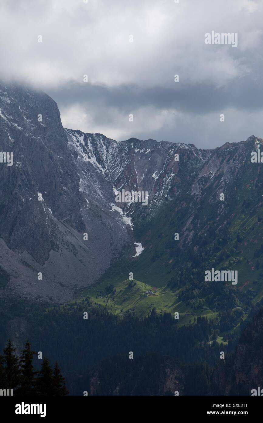 French Alps, summer, mountains, hiking, nature, forest, climate change ...