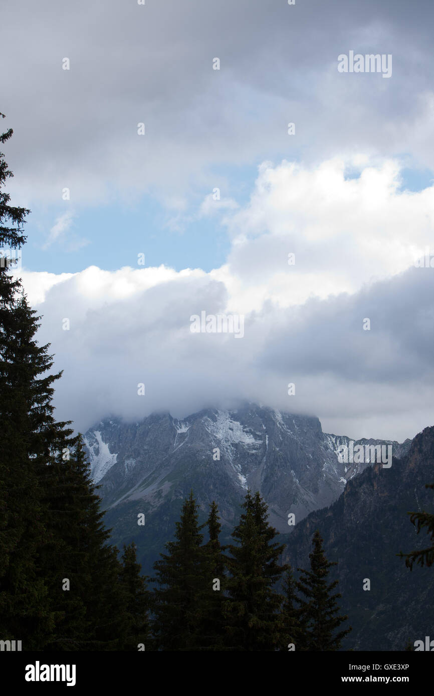 French Alps, summer, mountains, hiking, nature, forest, climate change ...