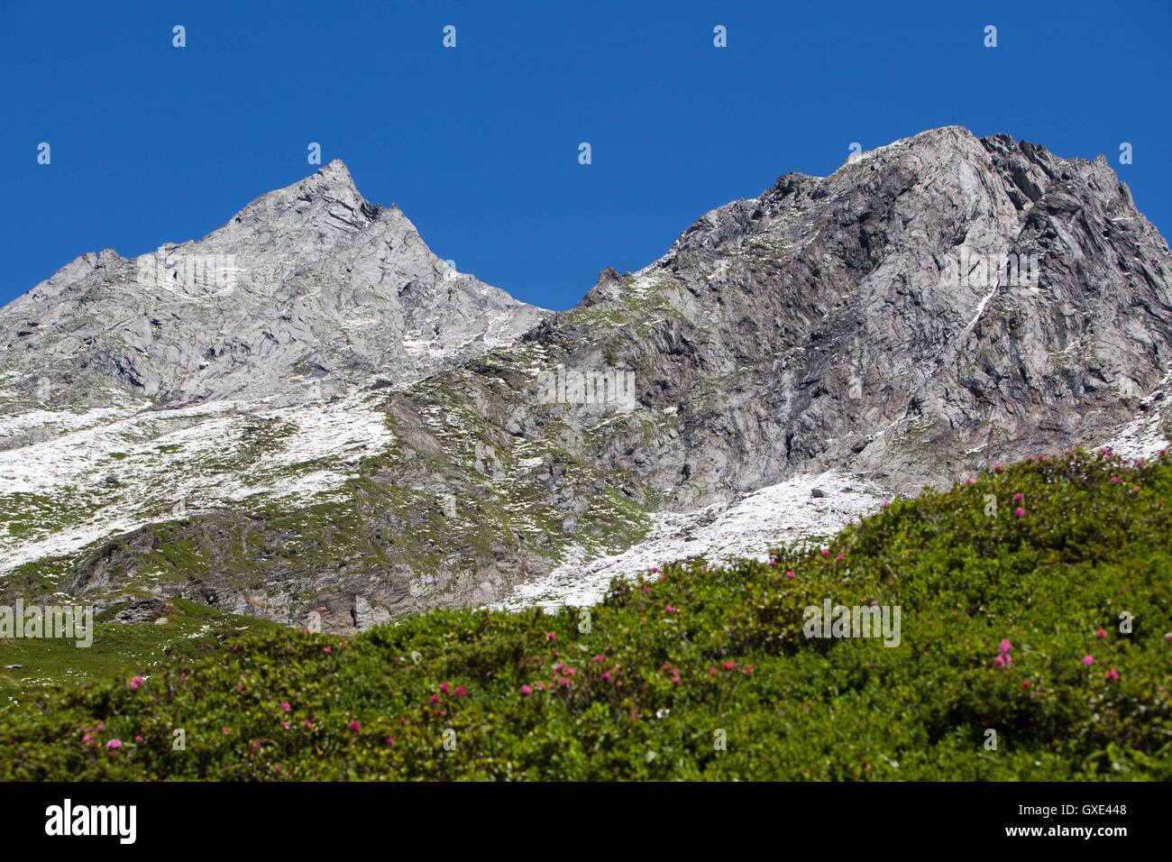 French Alps, summer, mountains, hiking, nature, forest, climate change ...