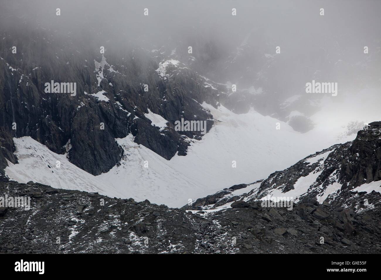 French Alps, summer, mountains, hiking, nature, forest, climate change ...