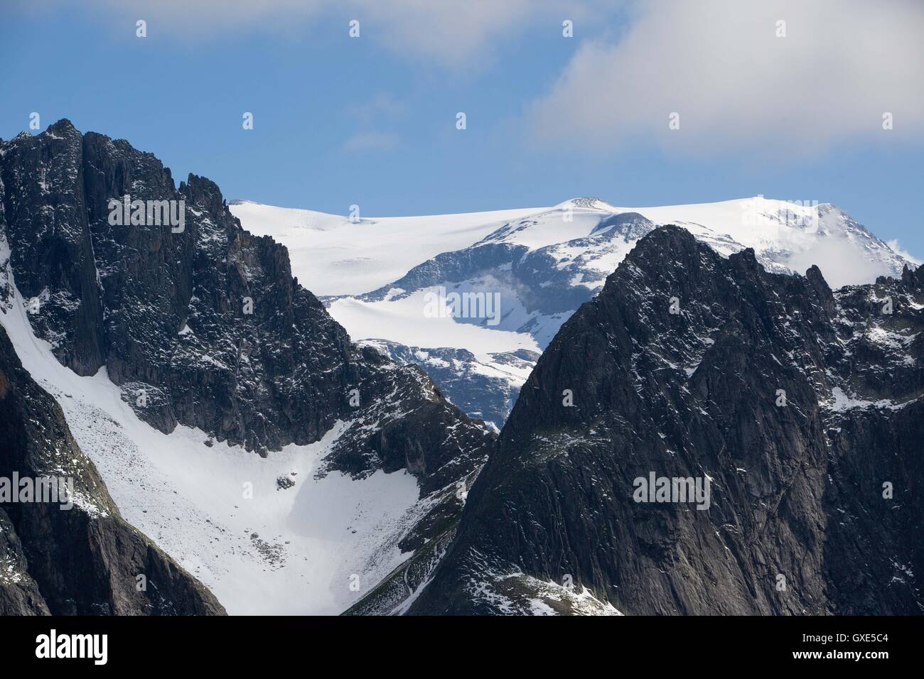 French Alps, summer, mountains, hiking, nature, forest, climate change ...