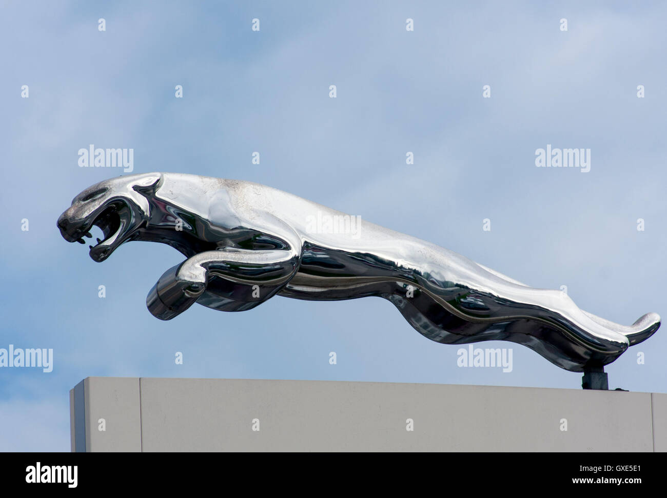 Jaguar sign hi-res stock photography and images - Alamy