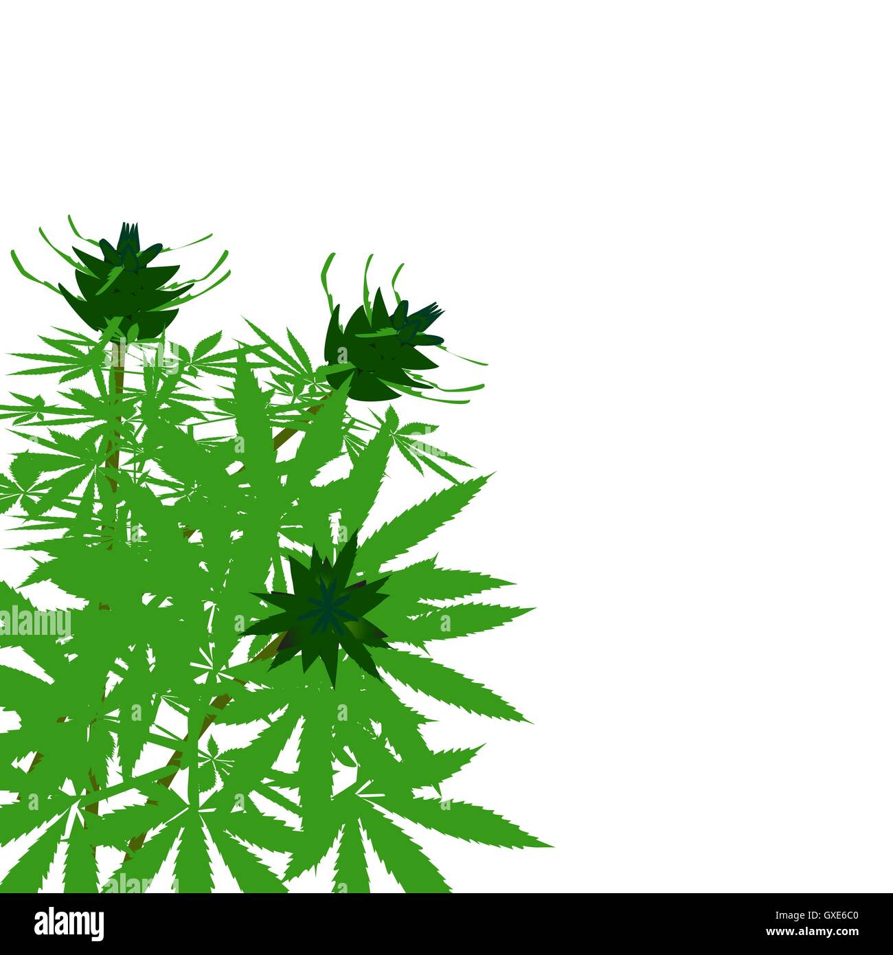 Flower and bush Stock Vector Images - Alamy