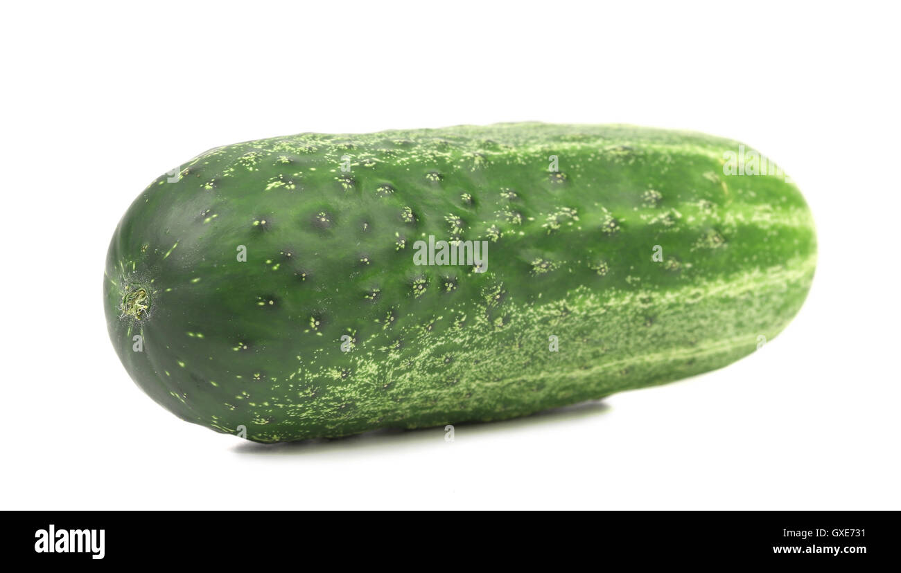 Single green cucumber Stock Photo - Alamy