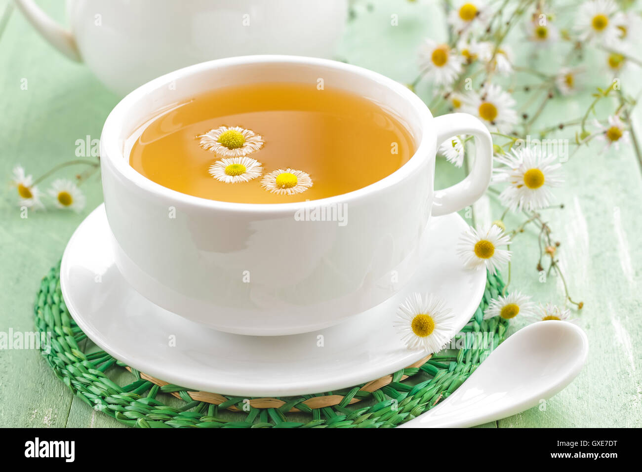 Chamomile leaves hi-res stock photography and images - Alamy