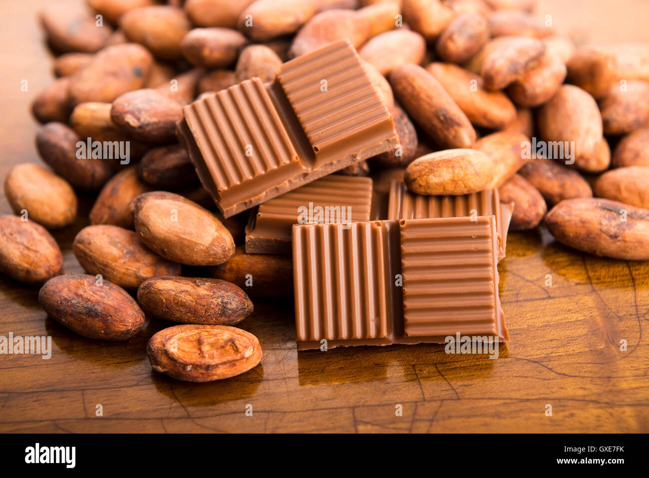 Cacao beans with milk chocolate Stock Photo - Alamy