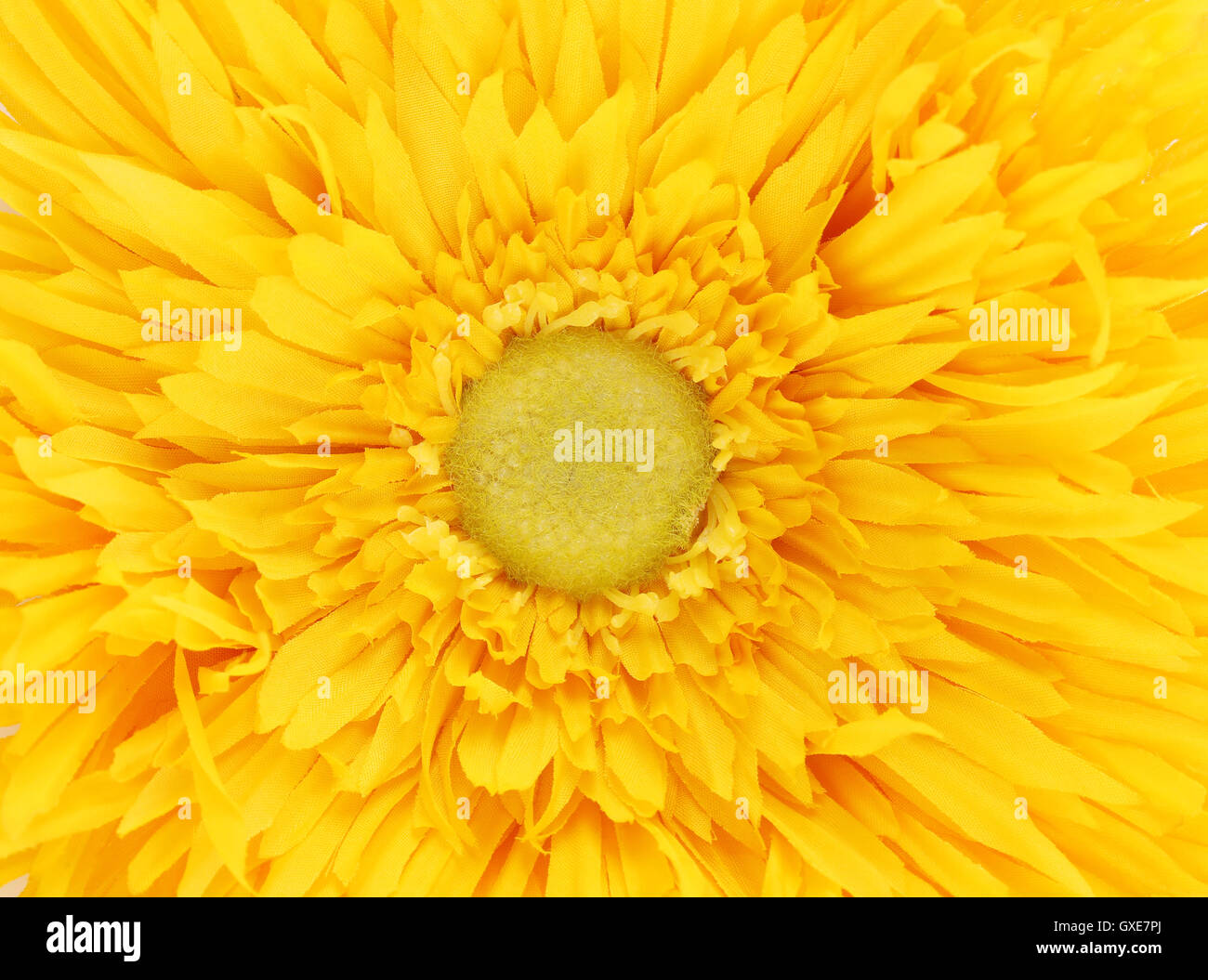 Yellow green core hi-res stock photography and images - Alamy