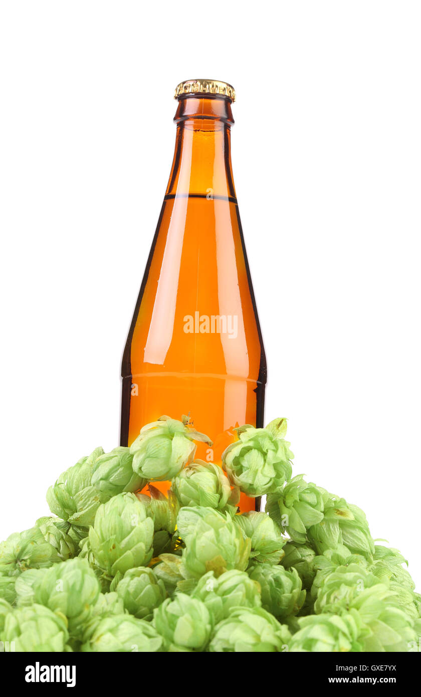 Beer bottle and hop flowers Stock Photo - Alamy