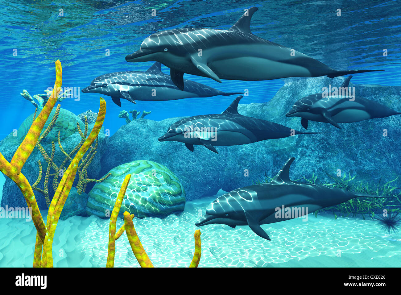 Striped dolphin underwater hi-res stock photography and images - Alamy