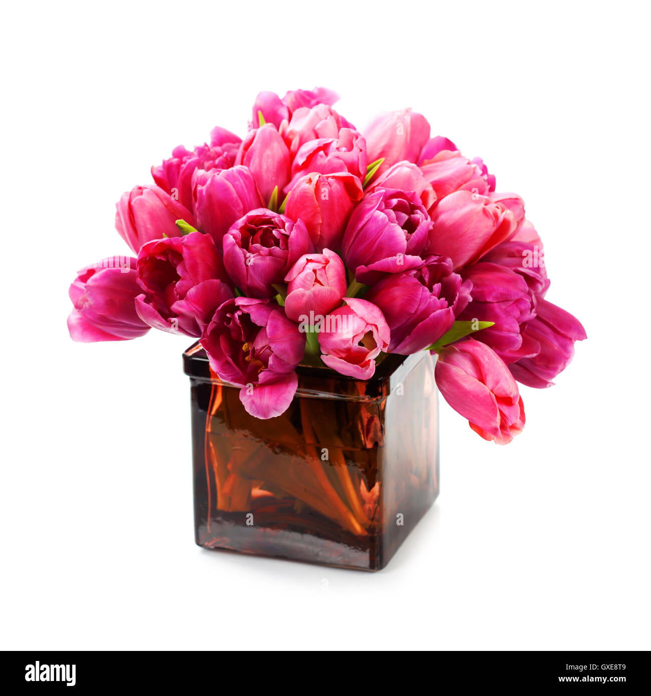 Bunch pink tulips water Cut Out Stock Images & Pictures - Alamy