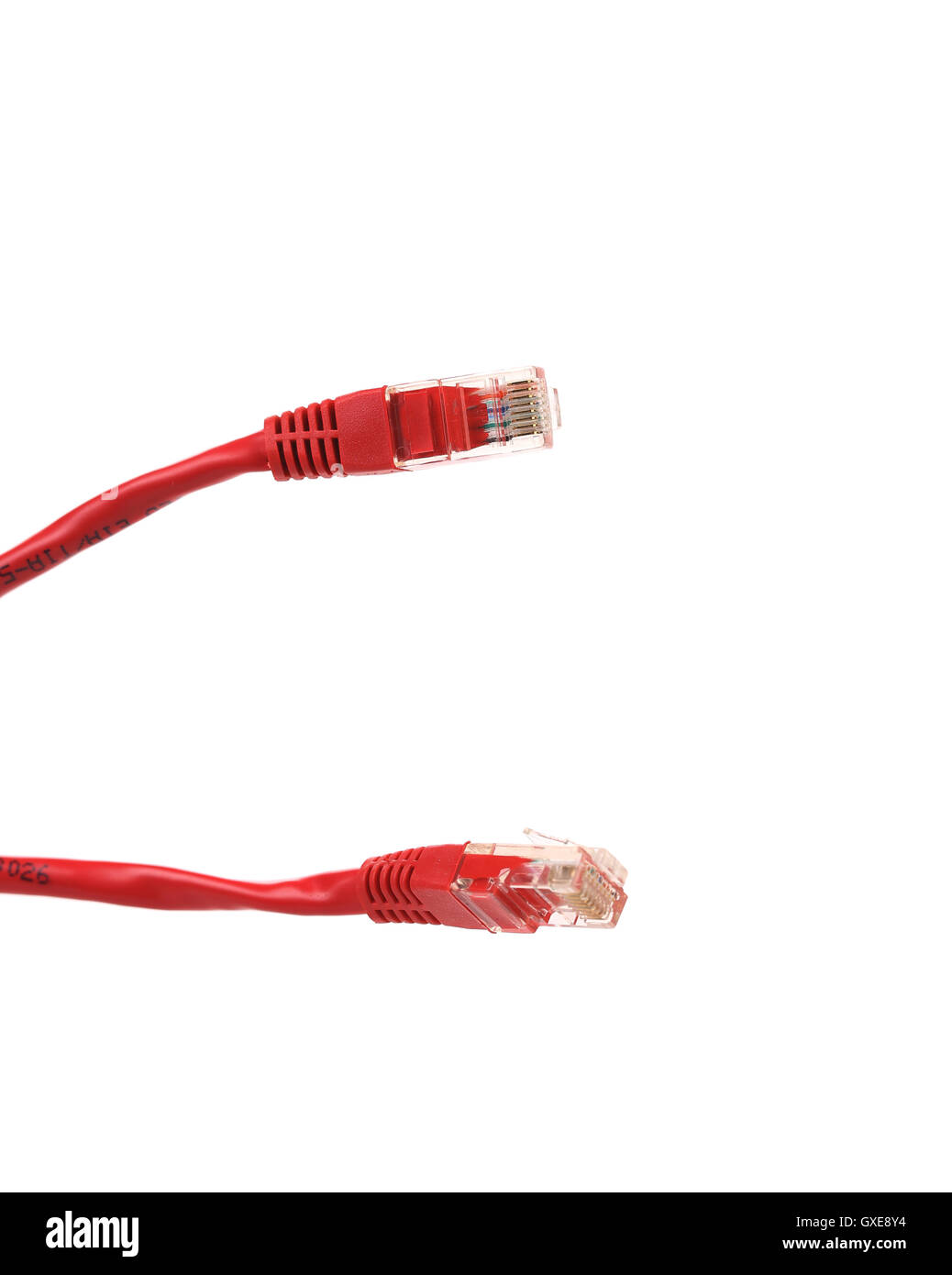 Two red network plug isolated on white background Stock Photo - Alamy