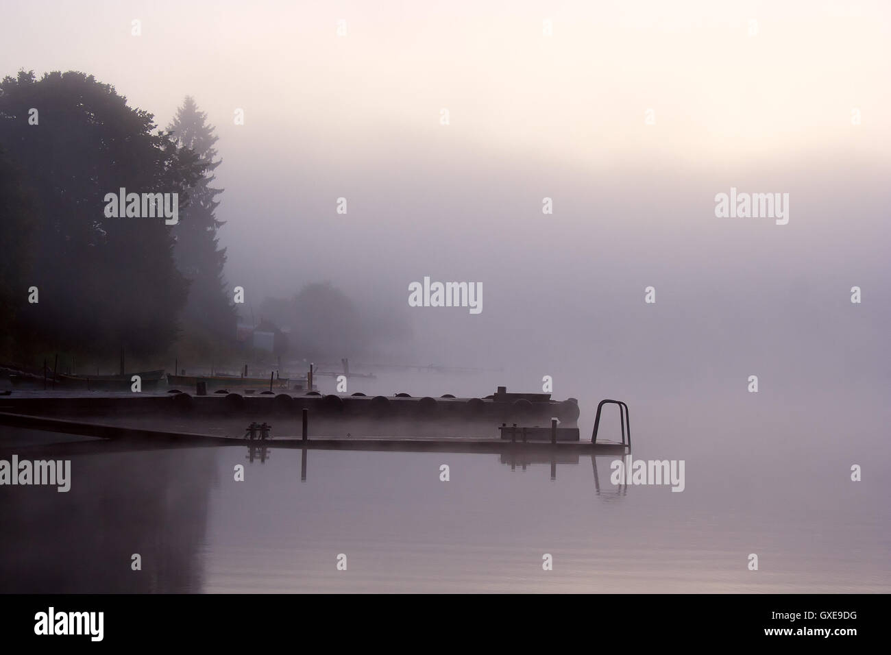 Morning nature scene (landscape): fog (mist) reflected in the water ...