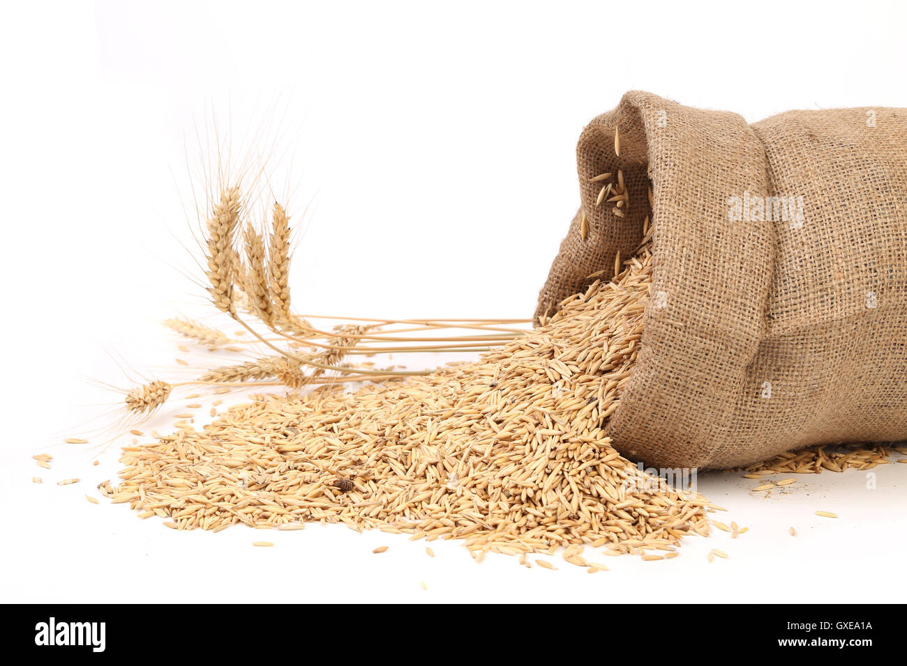 Sack with grains and ear of wheat Stock Photo - Alamy