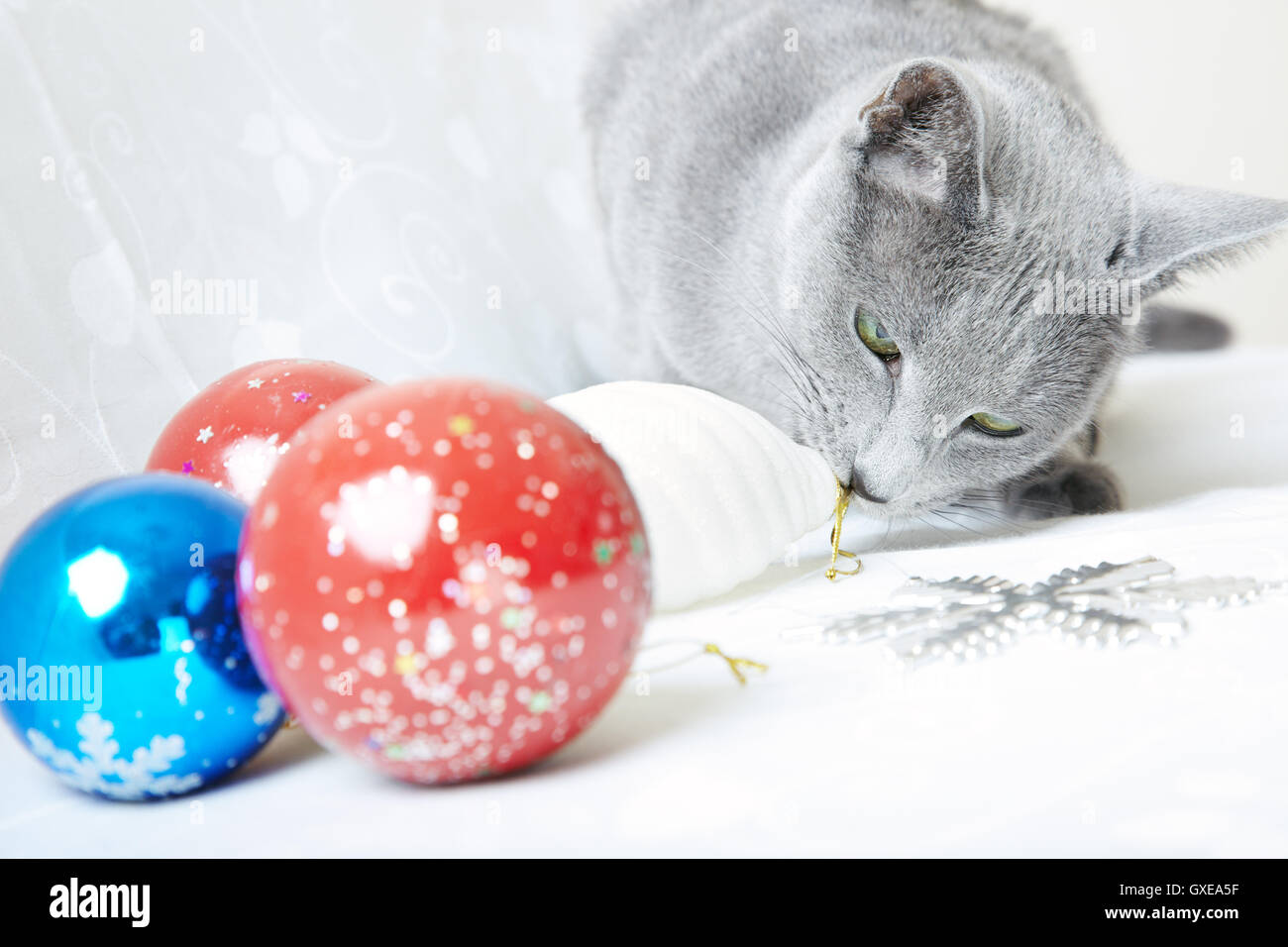 Cat play christmas ornaments hi-res stock photography and images - Alamy