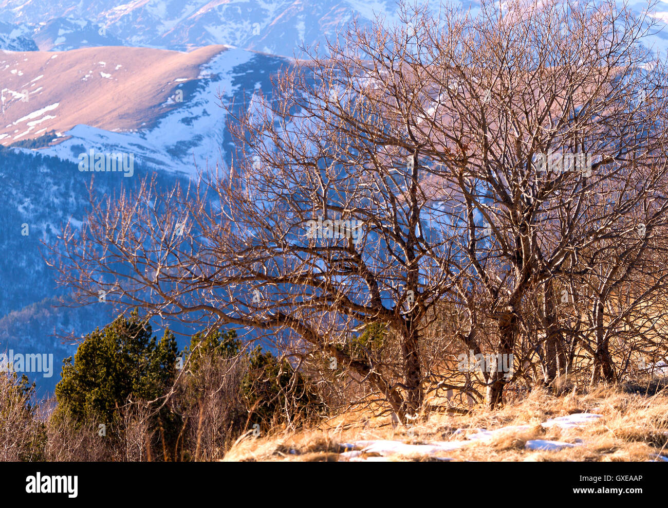 Tree far away hi-res stock photography and images - Alamy