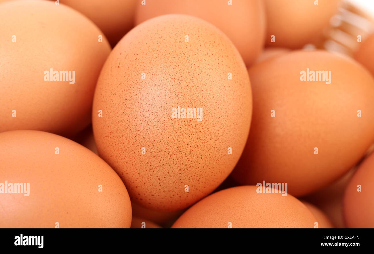 Top view of egg Stock Photo - Alamy