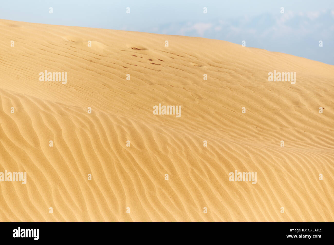 India desert summer heat hi-res stock photography and images - Alamy